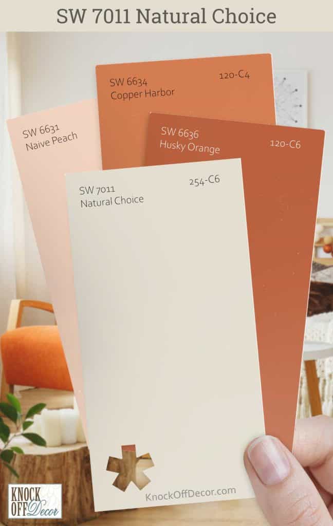 Sherwin Williams Natural Choice Review – Is it the Coziest Neutral ...