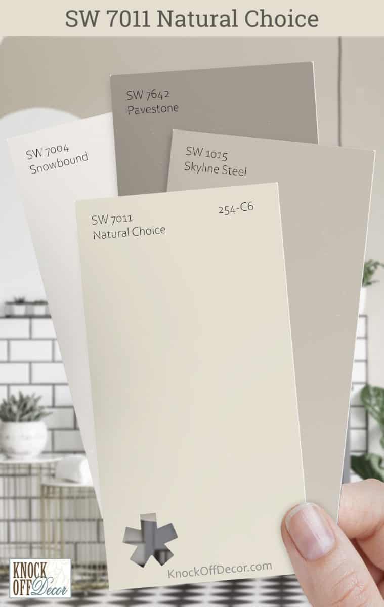 Sherwin Williams Natural Choice Review – Is it the Coziest Neutral ...