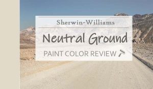 Sherwin Williams Neutral Ground Review – The Warm Pastel to Cozy Your ...