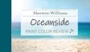 Sherwin Williams Oceanside SW 6496 – Dazzle Your Space with Eclectic ...