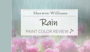 Sherwin Williams Rain Review - A Captivating Blue from Nature ...