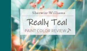 Sherwin Williams Really Teal Review – The True Artistic Blue ...