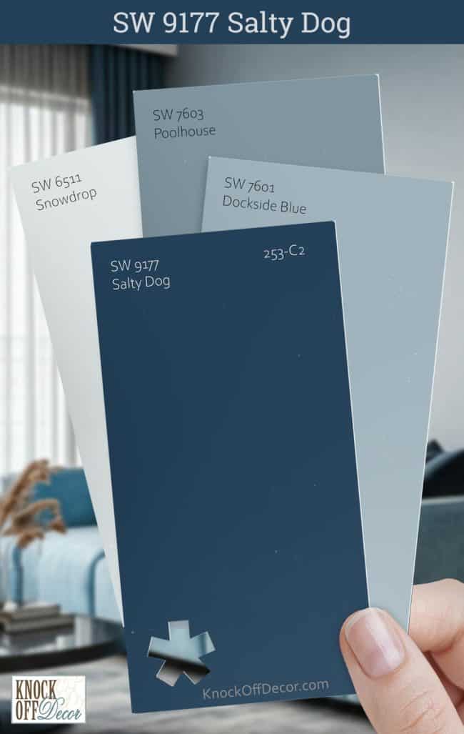 Sherwin Williams Salty Dog Review – The Trendsetting Blue - KnockOffDecor
