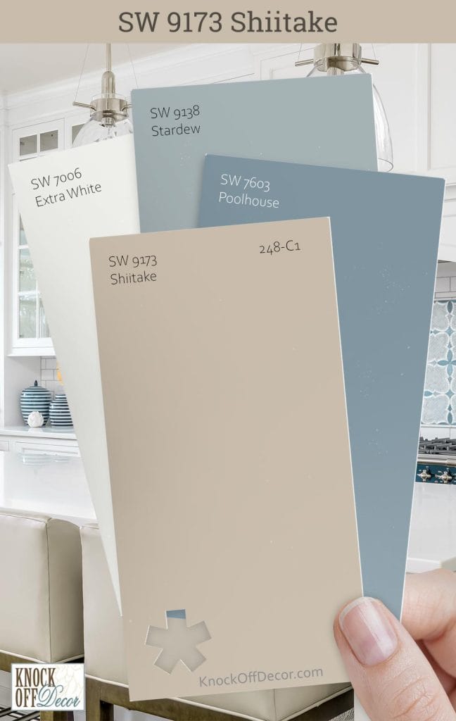 Sherwin Williams Shiitake SW 9173 – Your Best Beige for a Minimalist ...