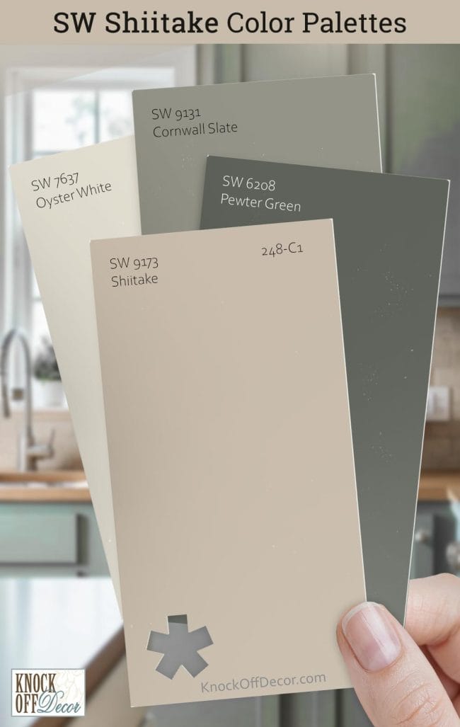 Sherwin Williams Shiitake SW 9173 – Your Best Beige for a Minimalist ...