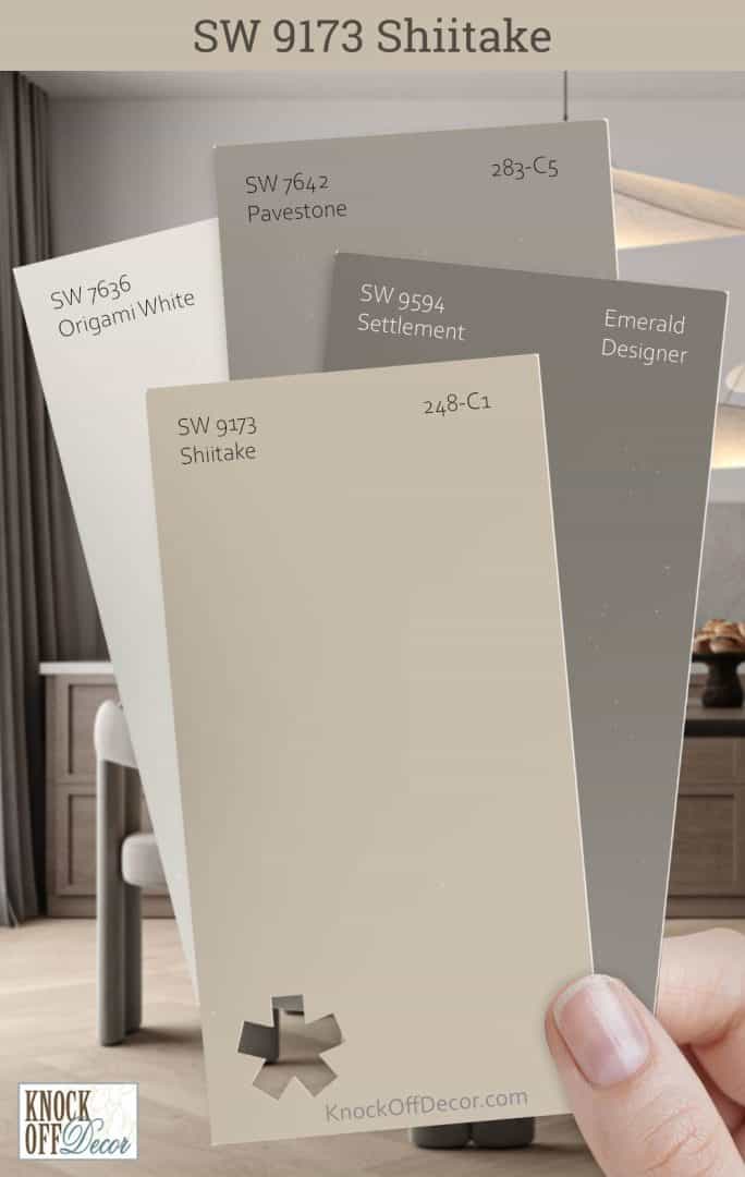 Sherwin Williams Shiitake SW 9173 – Your Best Beige for a Minimalist ...