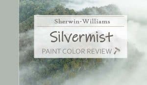 Sherwin Williams Silvermist Review – A Color to Recharge Your Soul ...