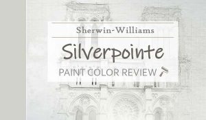 Sherwin Williams Silverpointe Review – Silver or Crispy Gray ...