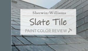 Sherwin Williams Slate Tile Review - A Sleek and Intimate Blue ...