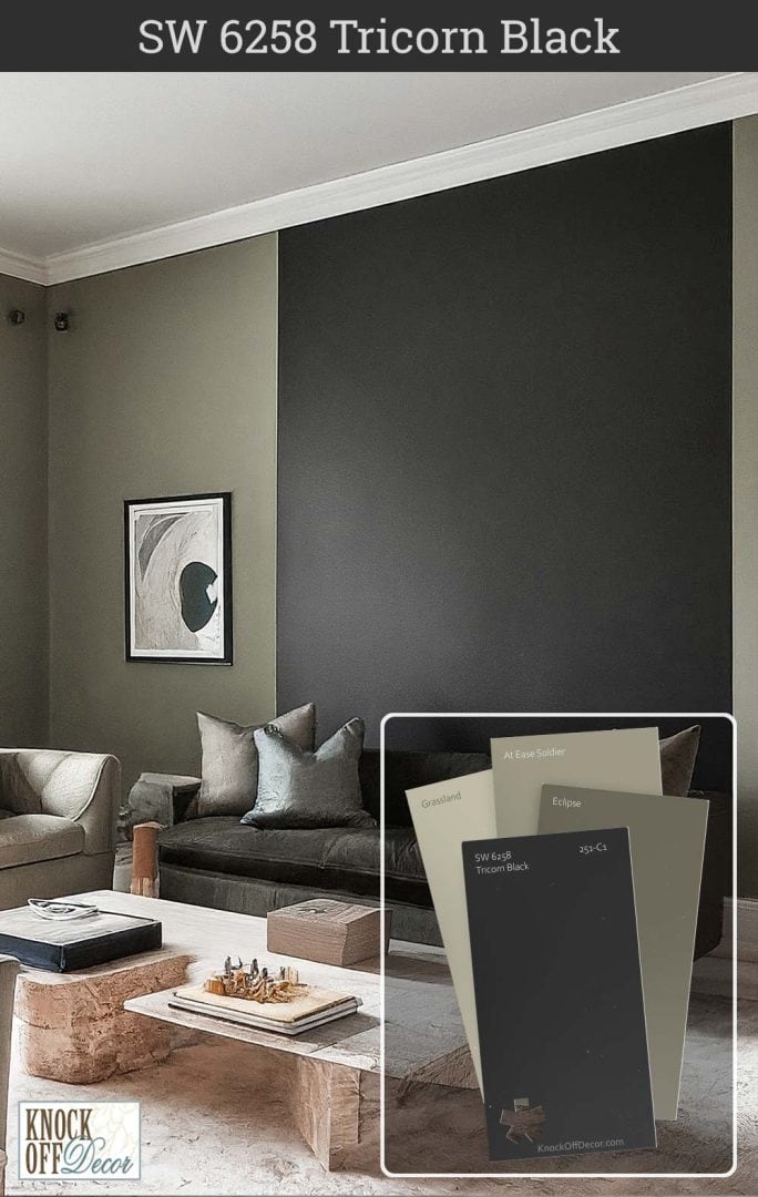 Sherwin Williams Tricorn Black SW 6258 Review – The New Classic Matte ...