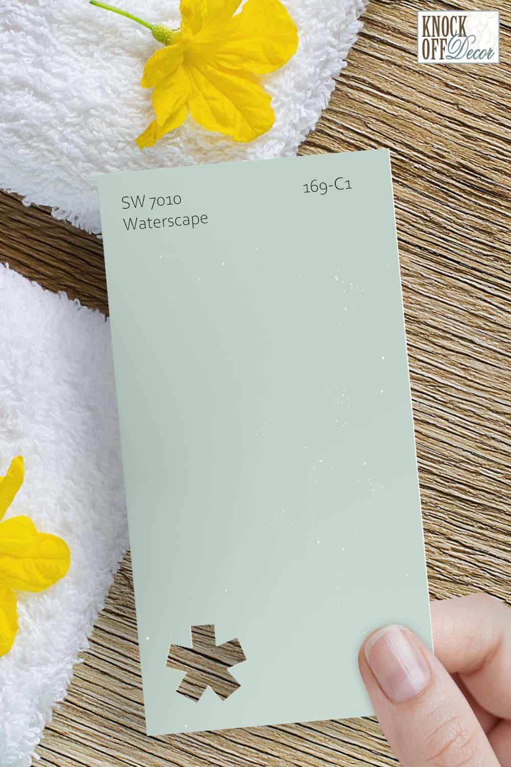 Sherwin Williams Waterscape Review – One Intriguing Aqua - KnockOffDecor