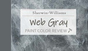 Sherwin Williams Web Gray Review – A Classy and Sassy Gray That'll ...