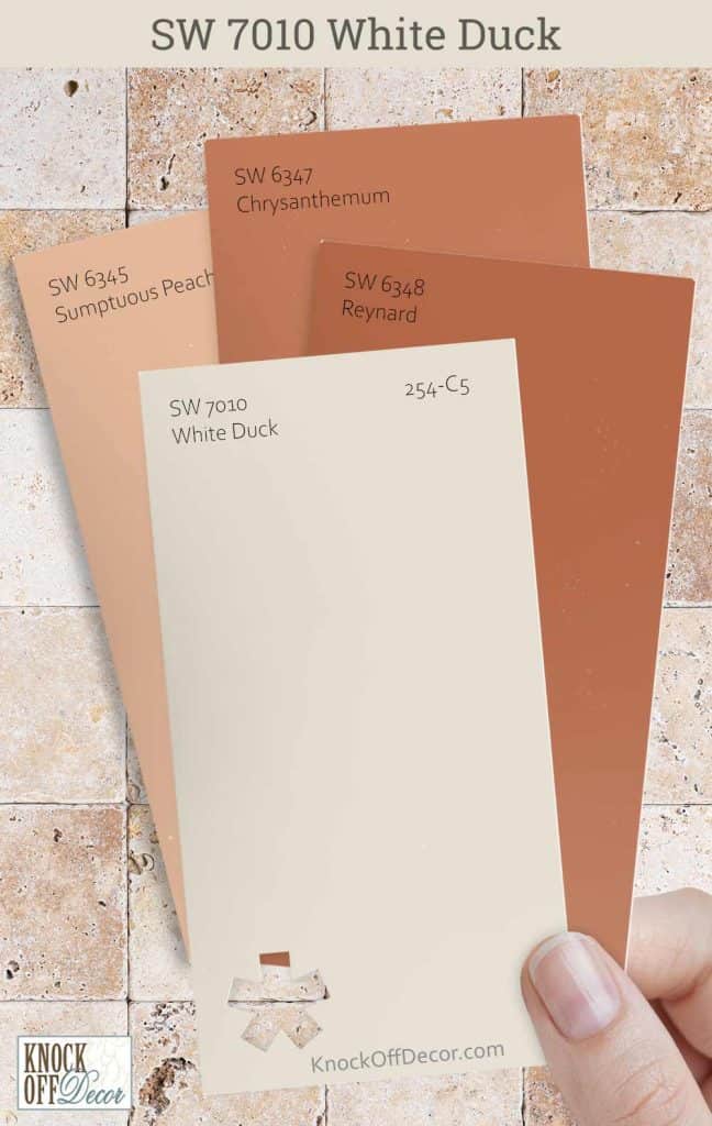 Sherwin Williams White Duck Review – A Versatile Creamy Neutral ...