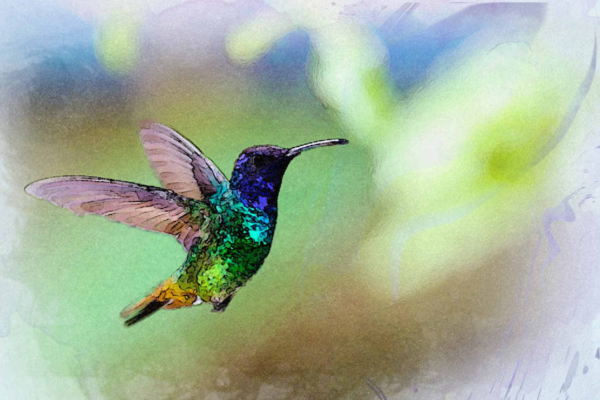 Watercolor Butterfly: 25+ Majestic Paintings to Inspire You ...