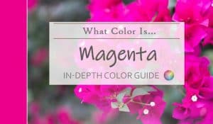 What Color Is Magenta? The Ultimate Guide to This Vibrant Hue ...