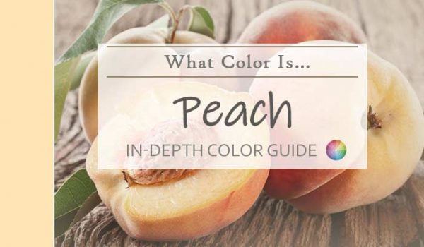 What Color is Peach and Why You Should Include It in Your Color Palette ...