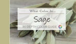 What Color is Sage? So Much More Than Just a Green - KnockOffDecor